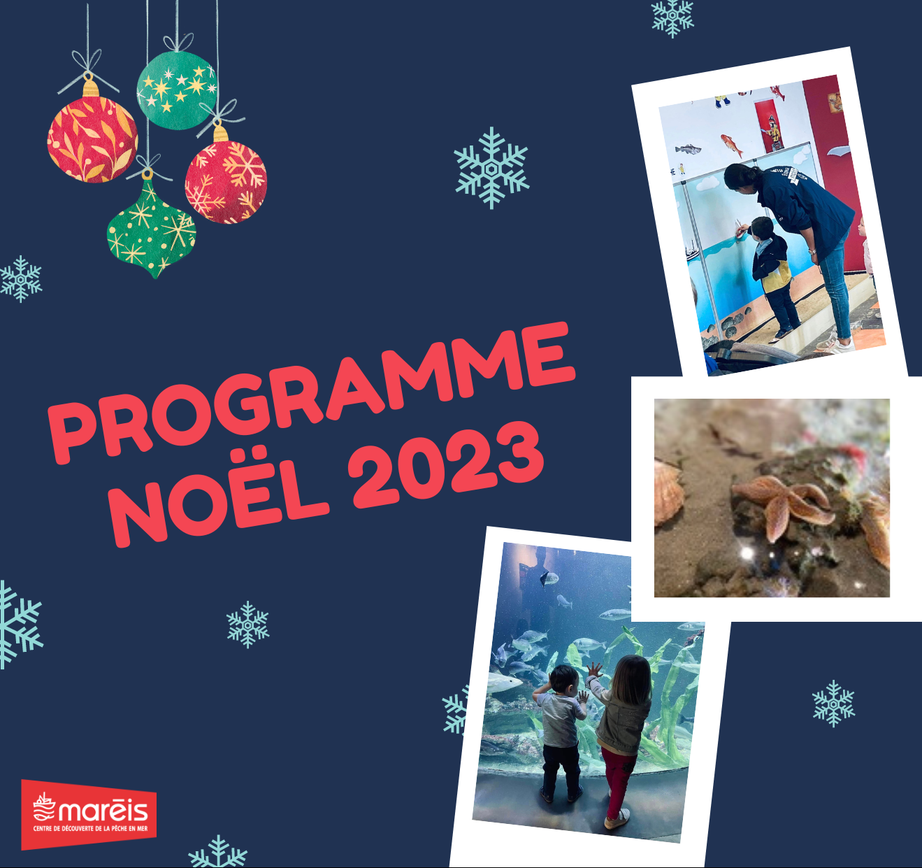 Nos activités pendant les vacances de Noël - Maréis